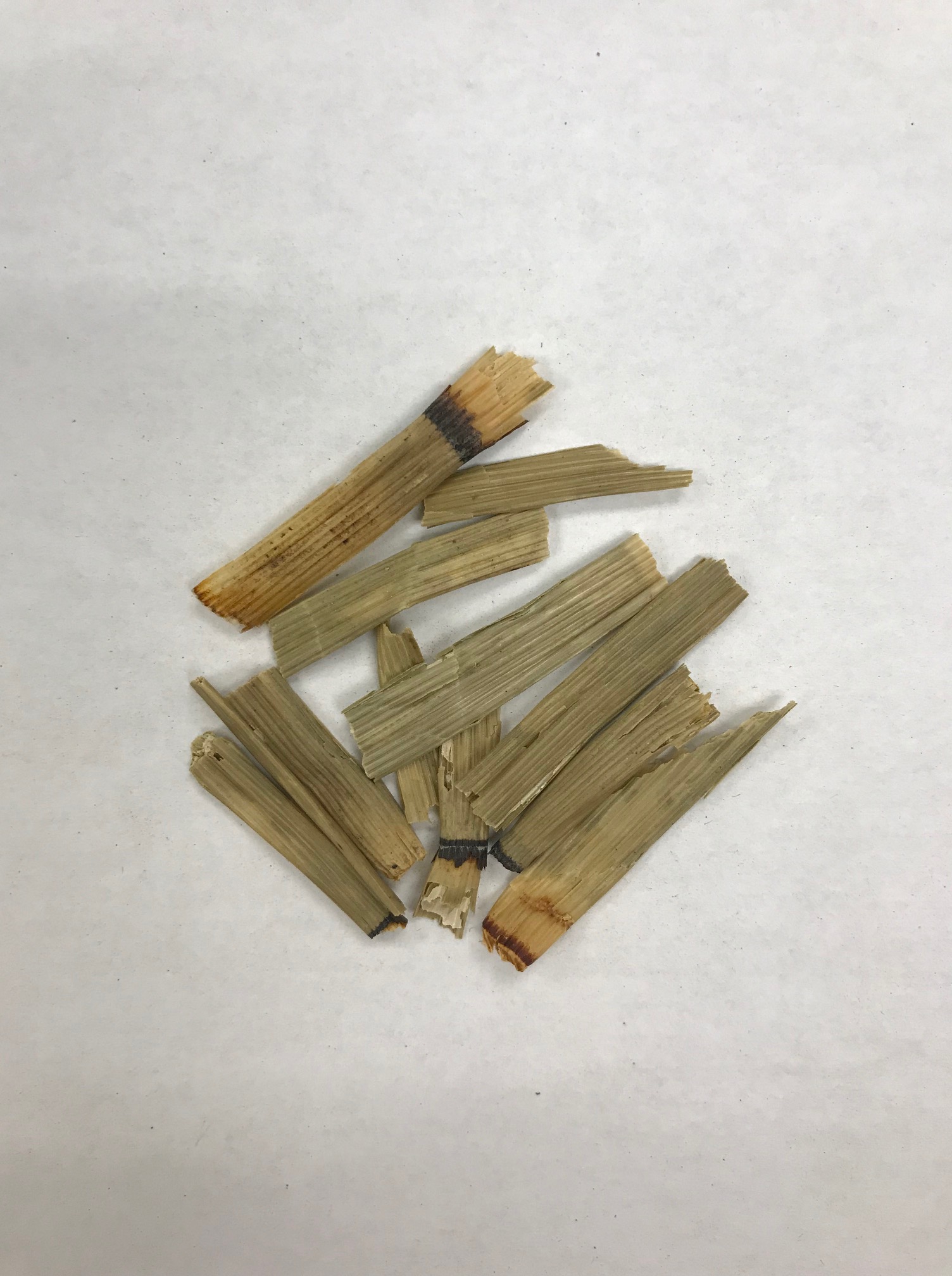 1-2-3 疏散風熱 明目 Herbs that Disperse Wind-Heat and Clear the Eyes – TCM Herbs