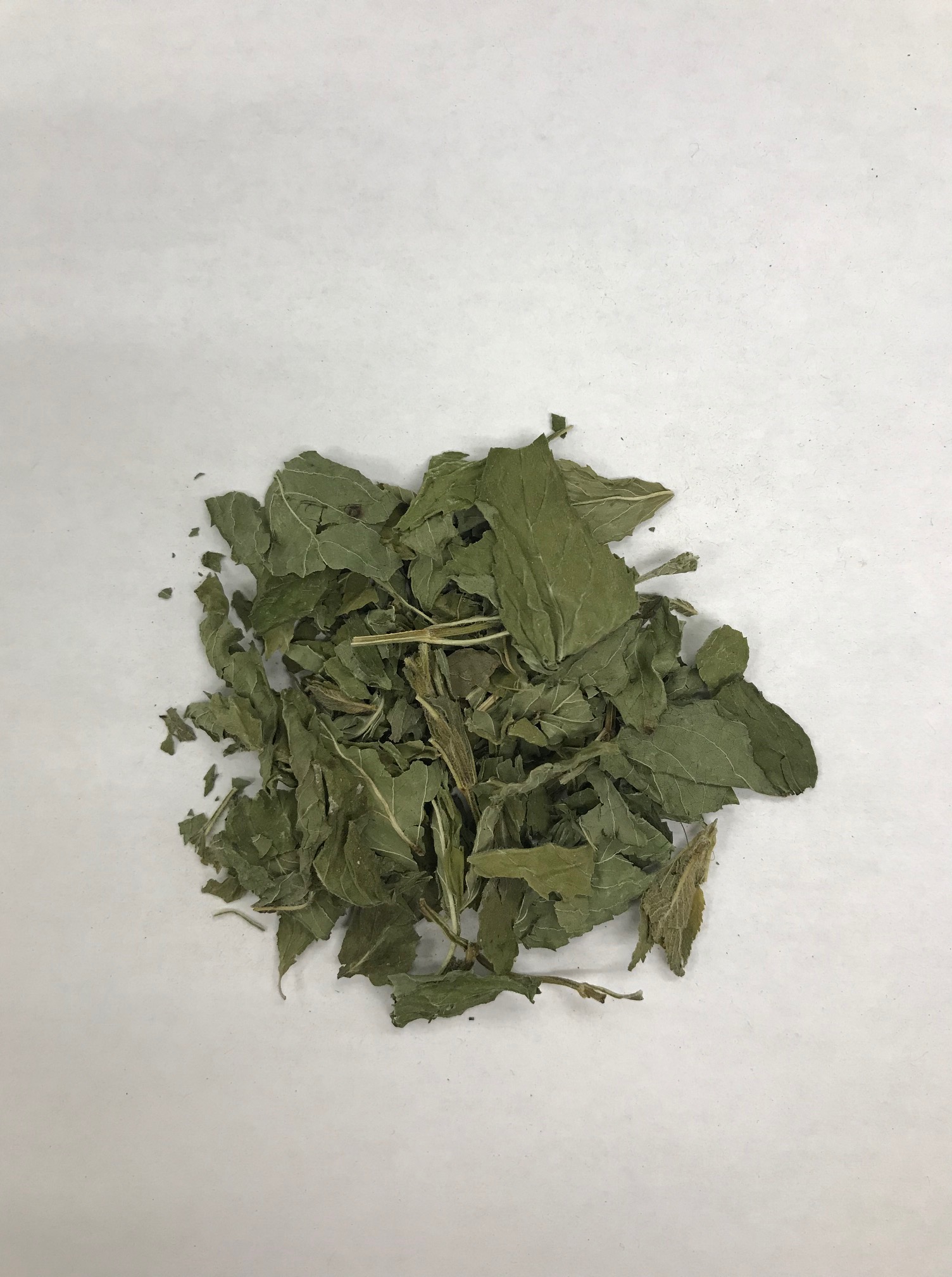 薄荷 Bo He – TCM Herbs