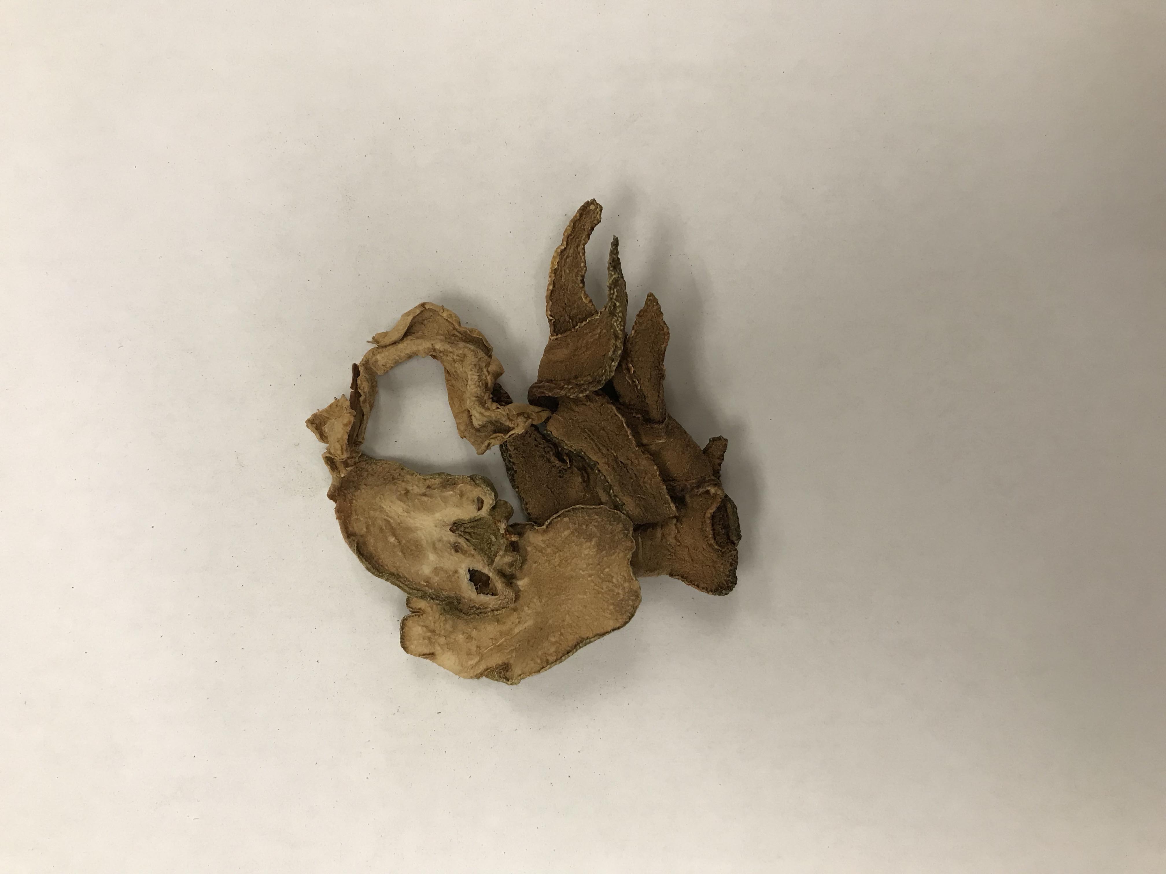 佛手 Fo Shou – TCM Herbs