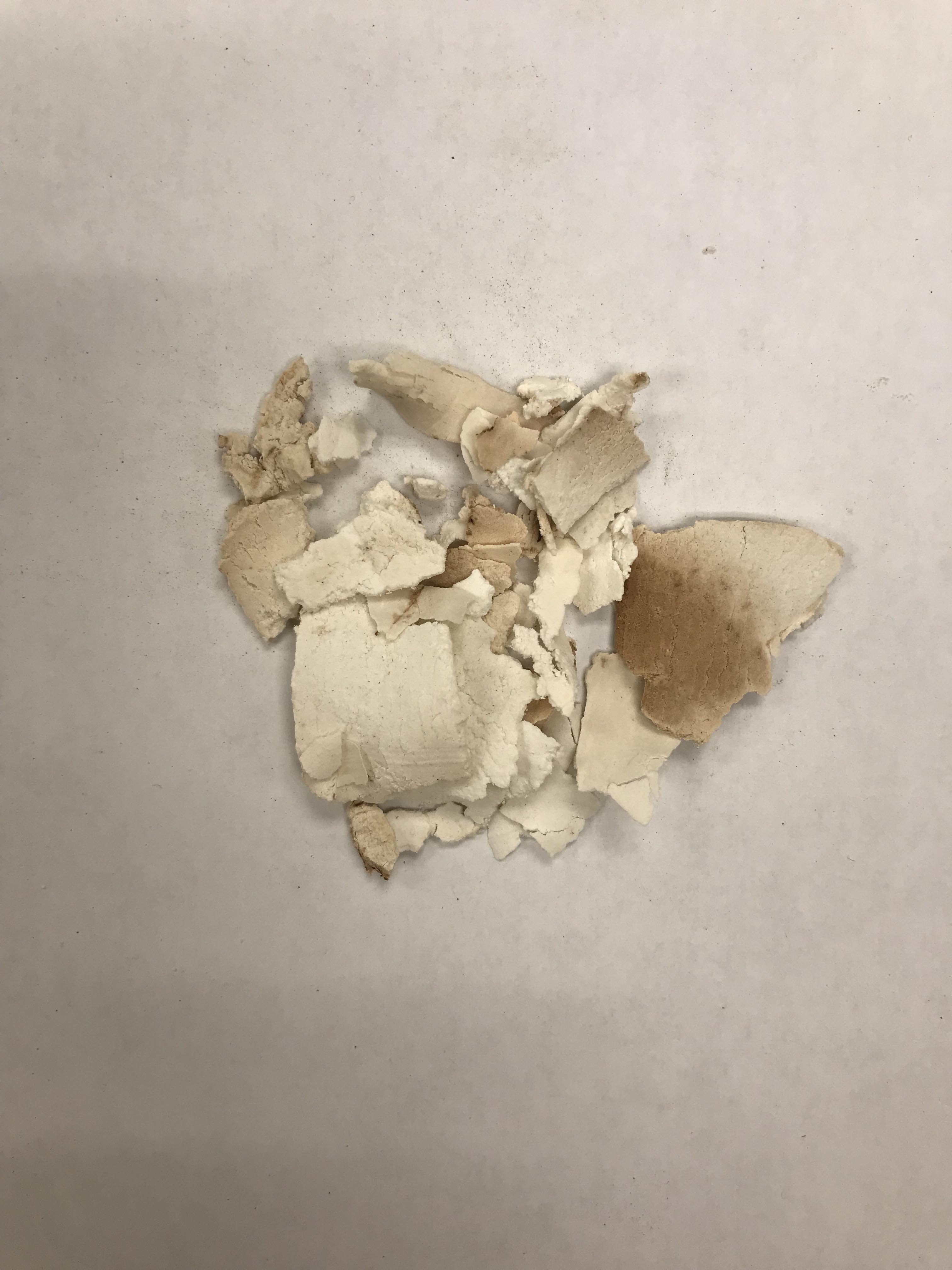 茯苓 Fu Ling – TCM Herbs