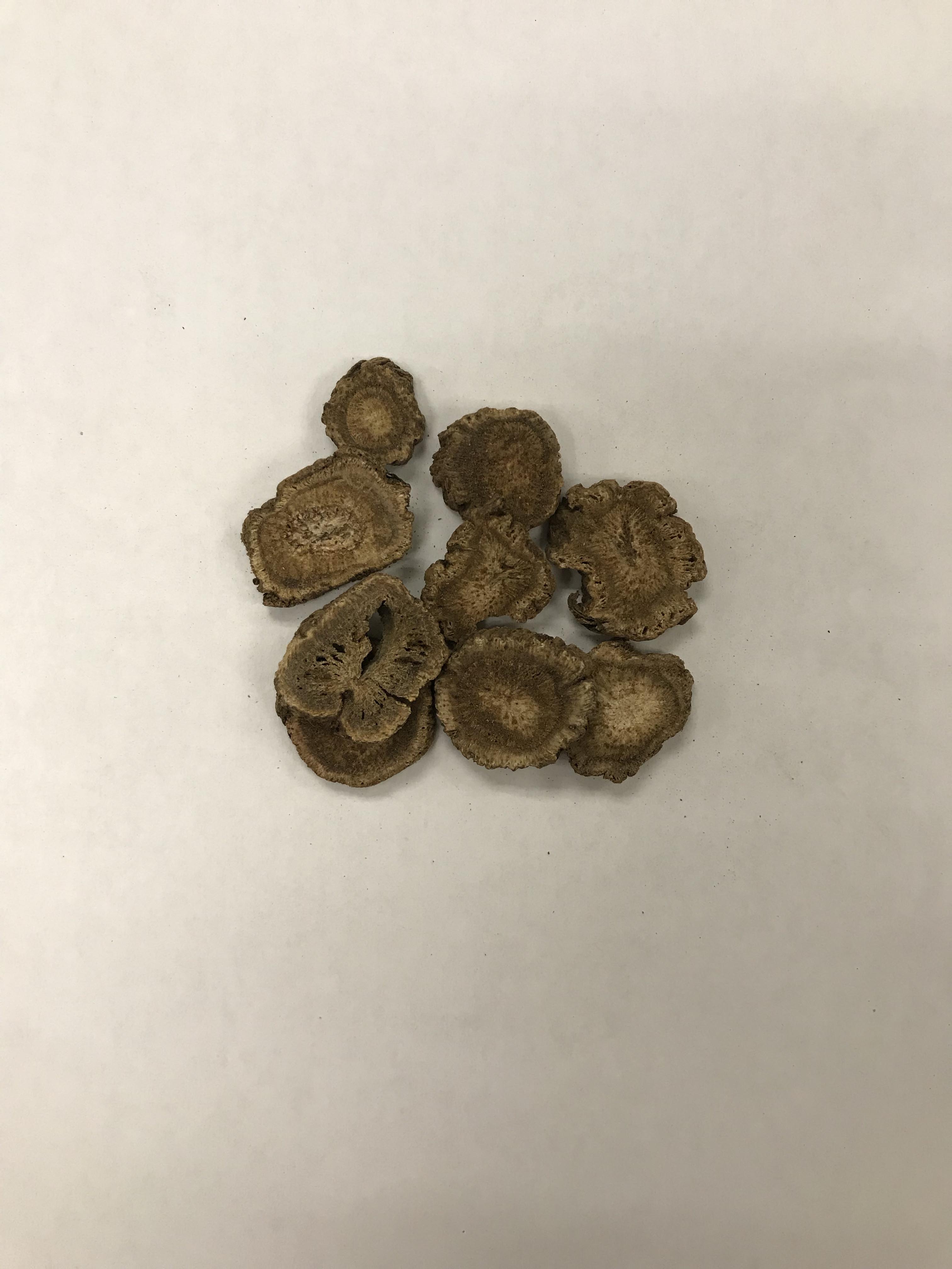 木香 Mu Xiang – TCM Herbs