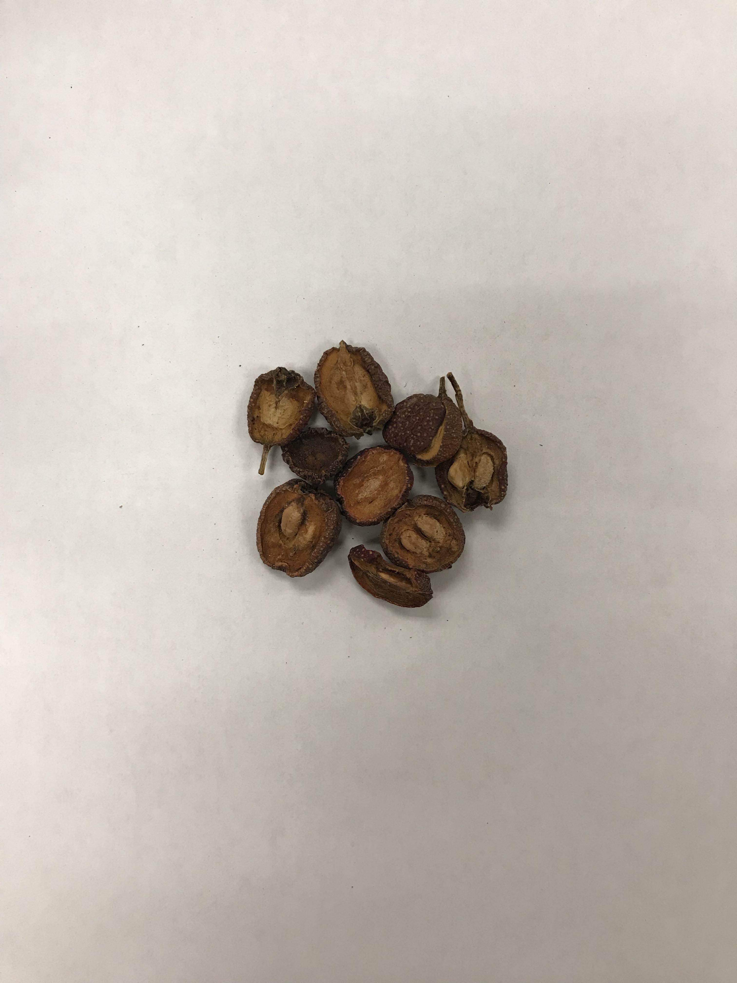 山楂 Shan Zha – TCM Herbs