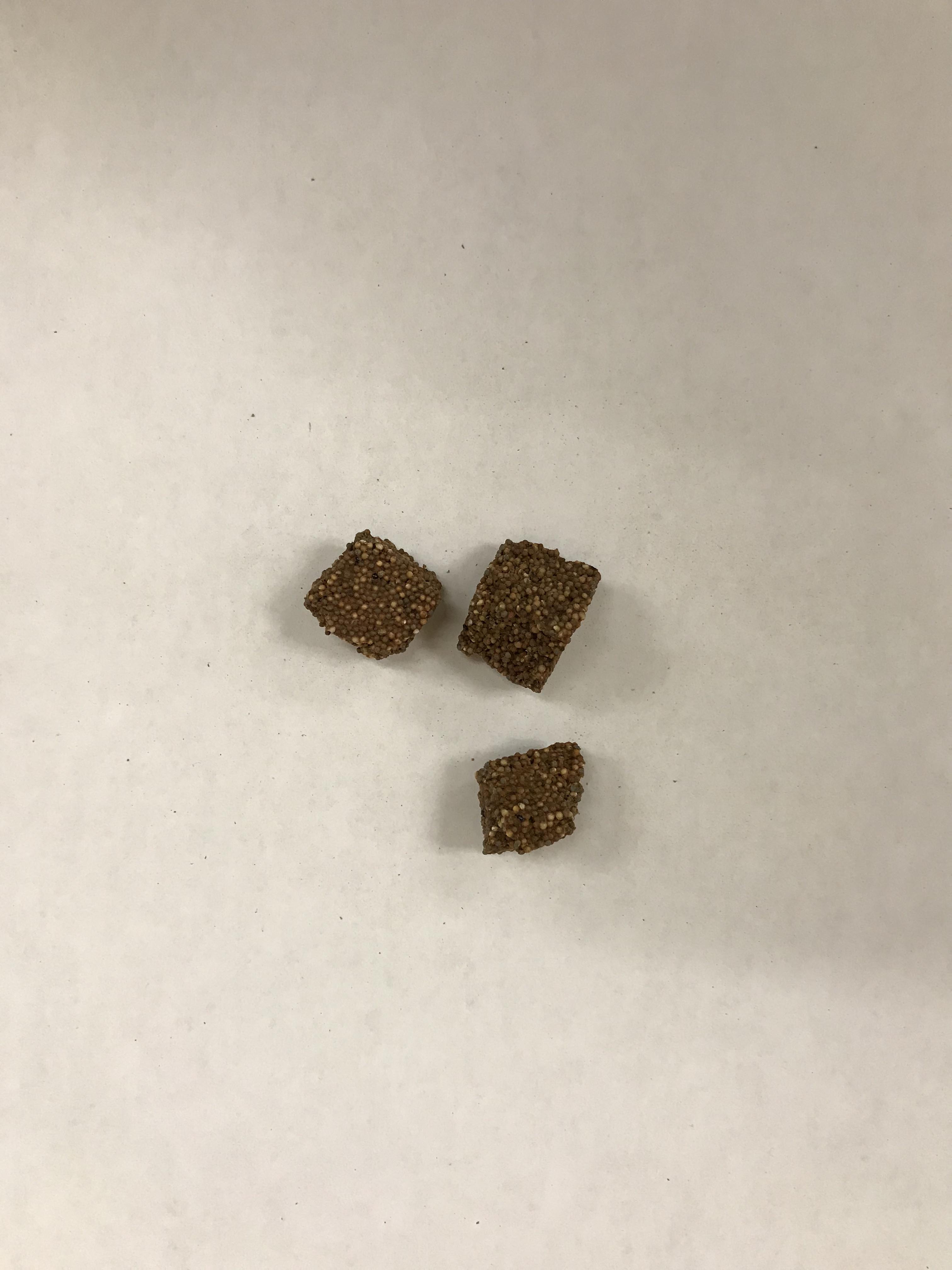 兔絲子 Tu Si Zi – TCM Herbs